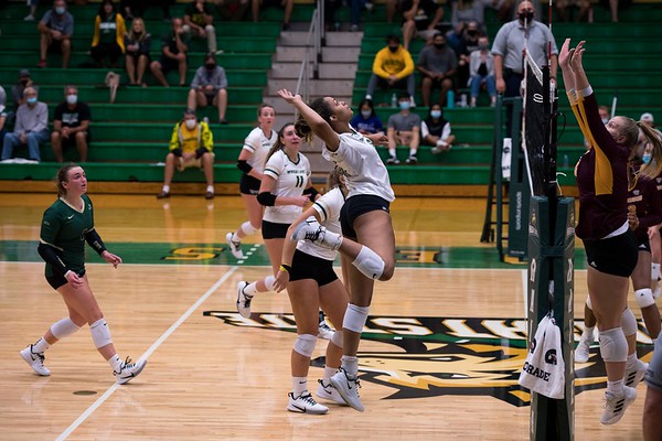 Aleigha Johnson - Women's Volleyball - Wright State University Athletics