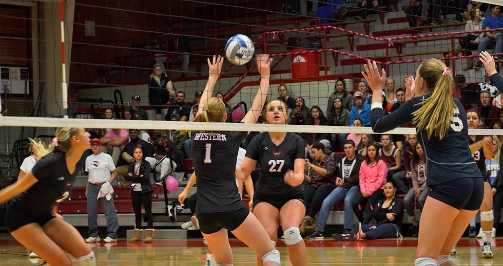 Allison Walker - 2016 - Volleyball - Western Colorado University Athletics