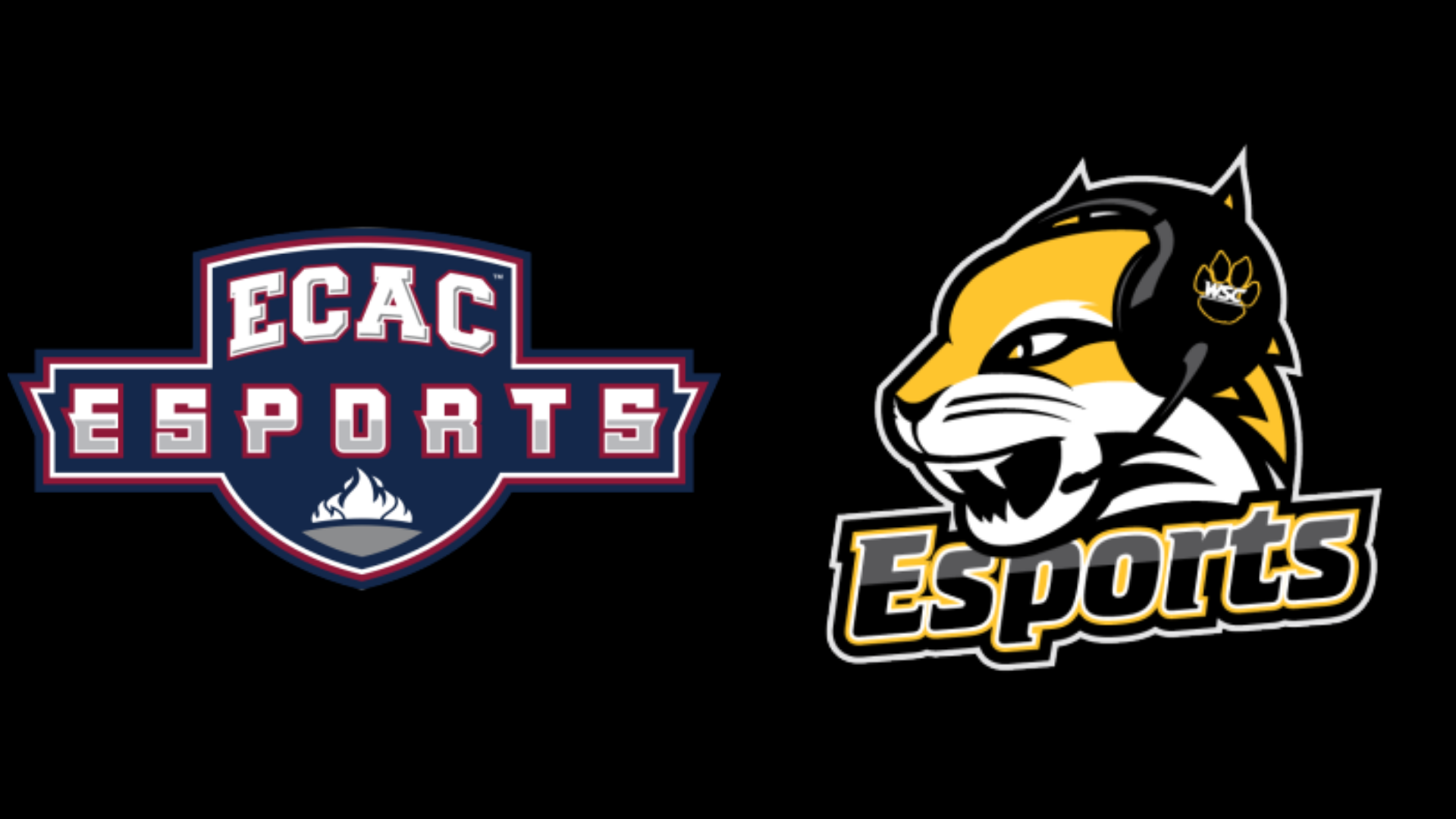 Super Smash Bros Ultimate LAN - Wayne State College