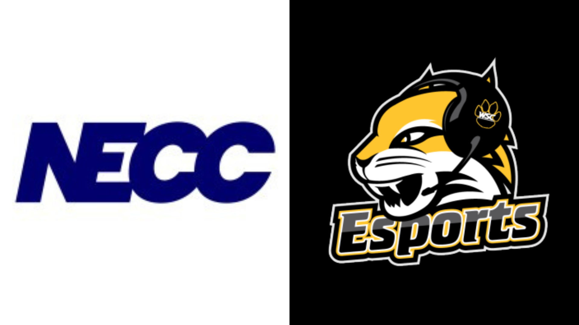 Super Smash Bros Finishes 4th at NECC Nationals - Wayne State College