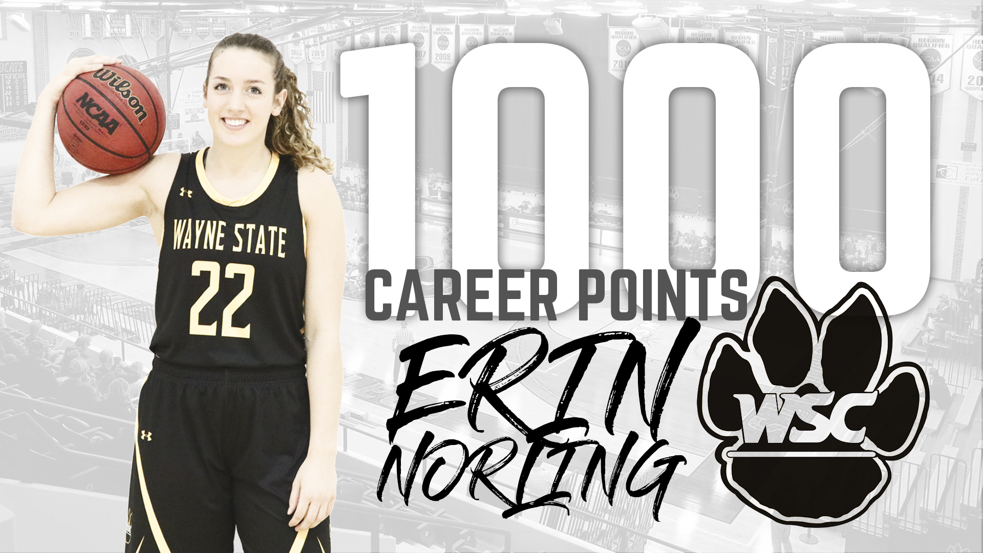 Norling scores twenty as Wildcats take down Vikings on the road - Wayne ...