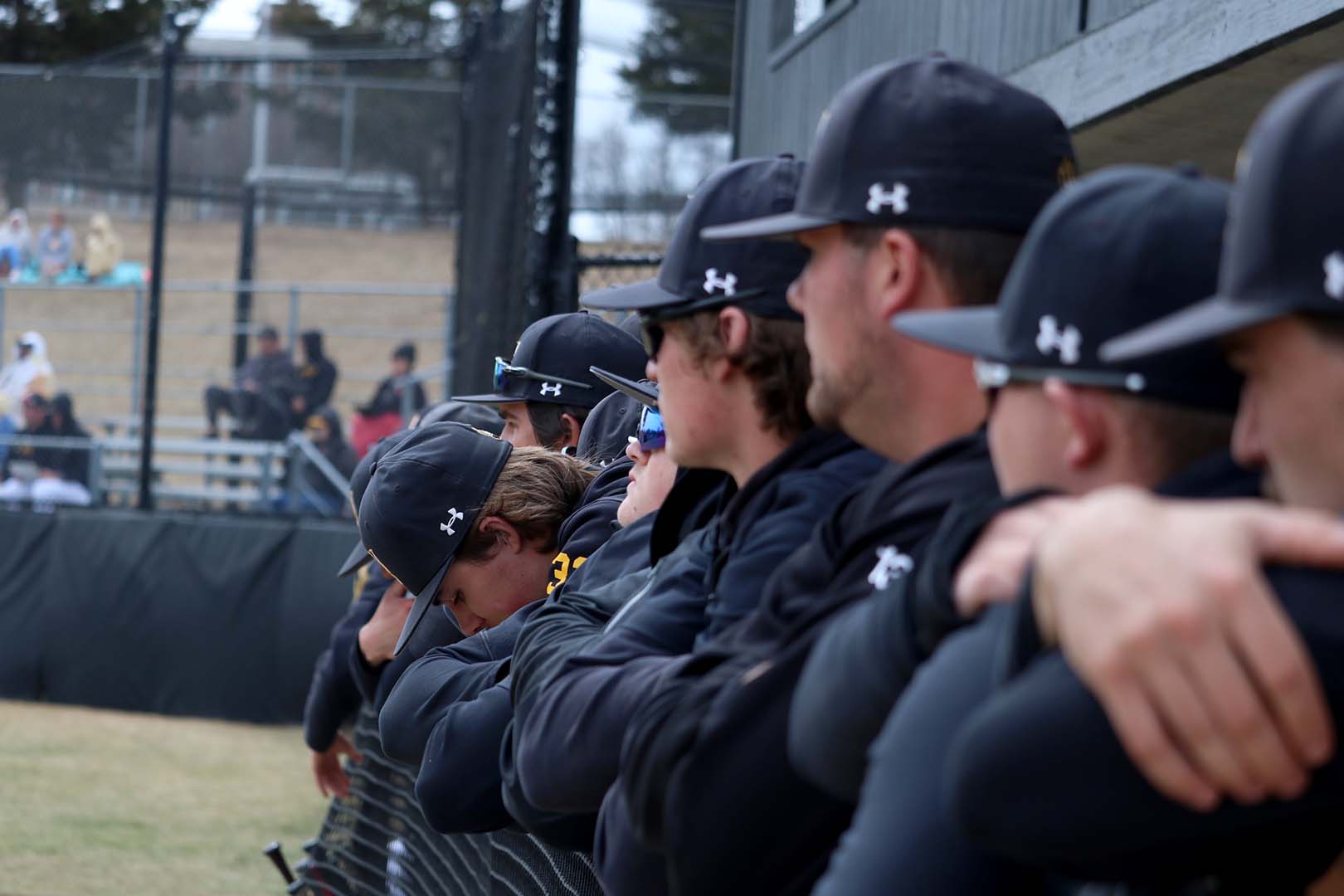Eight-run third inning powers #15 Augustana past Wildcats 11-3 - Wayne ...