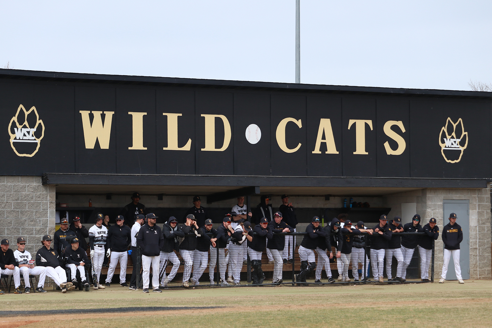 Missouri S&T gains series split with 8-1 win in Monday finale - Wayne ...