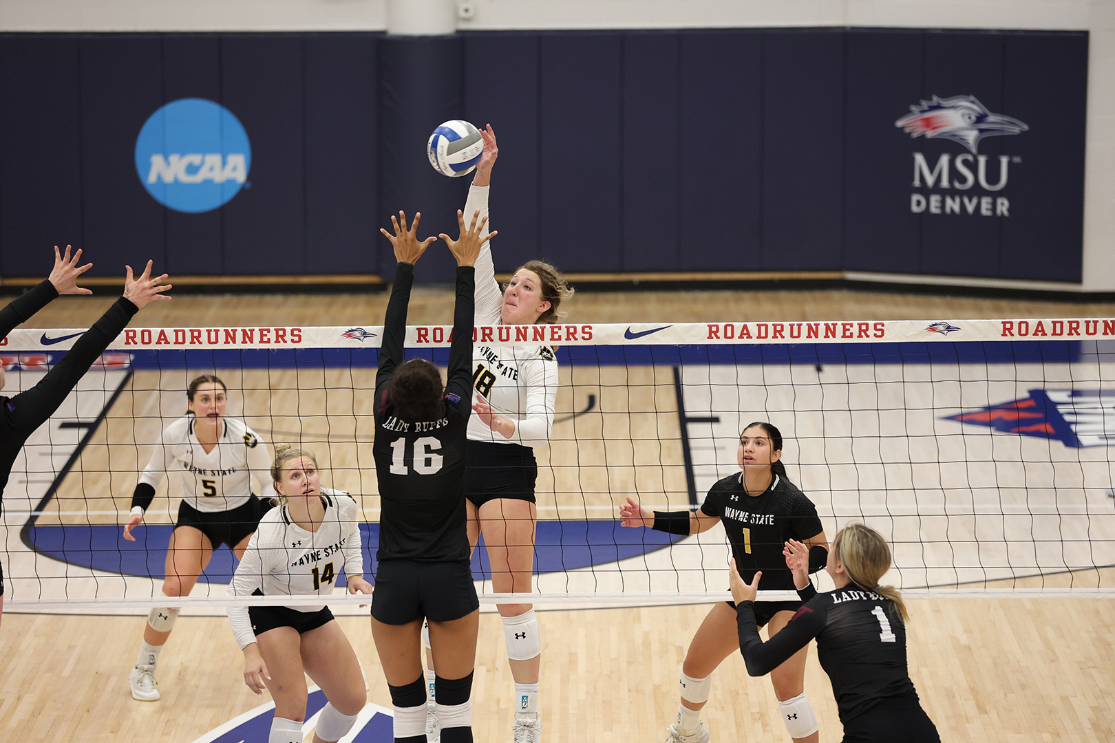 Brahmer's career-high 20 kills rallies #15 WSC in five-set win over #12 ...