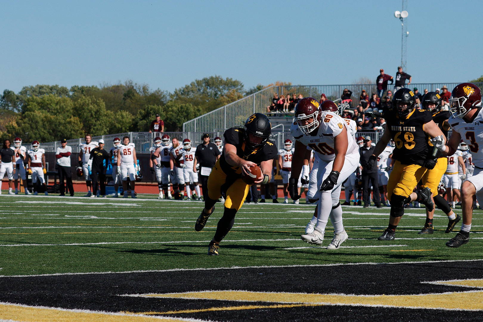 Widlcats take down #17 Minnesota Duluth on homecoming 28-18 - Wayne ...
