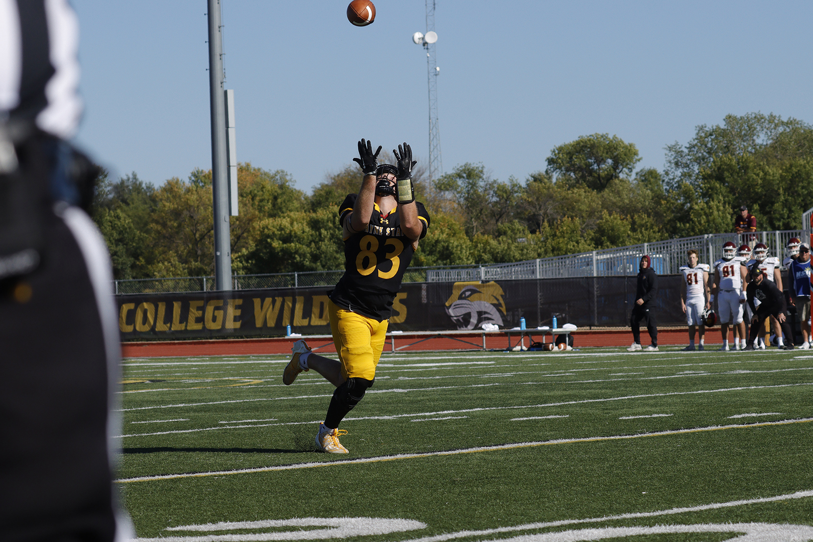 Lane VanderWal - 2024 - Football - Wayne State College Athletics