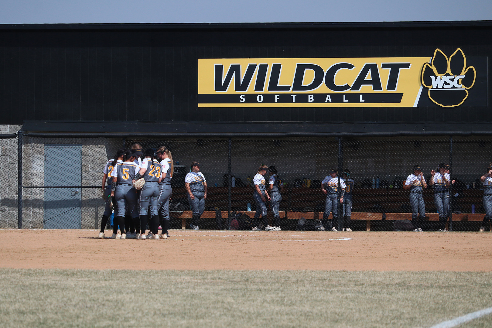 Drury holds off Wildcat comeback in 5-2 win - Wayne State College Athletics
