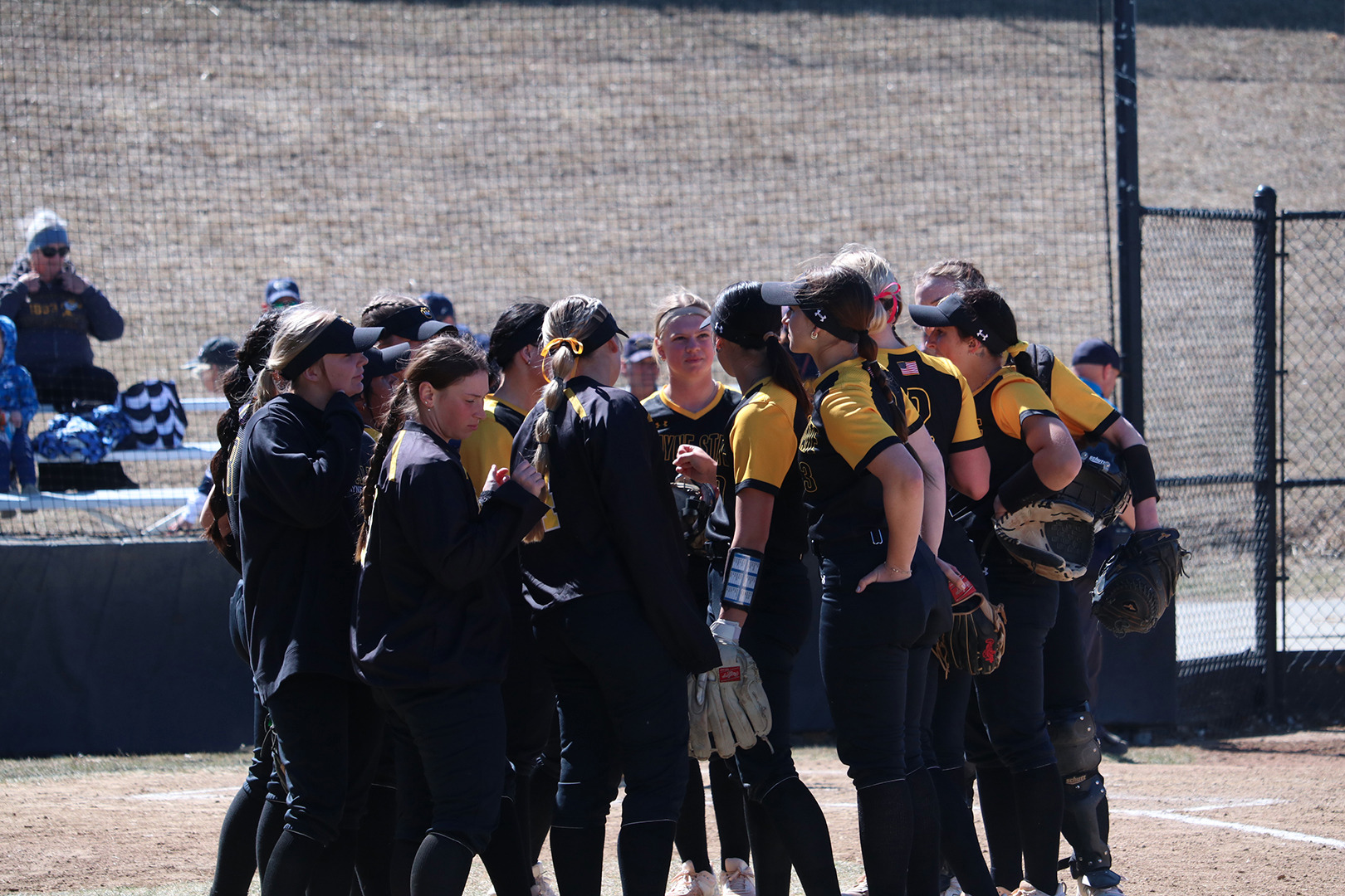 WSC ends Arkansas Tournament with loss to Washburn - Wayne State ...