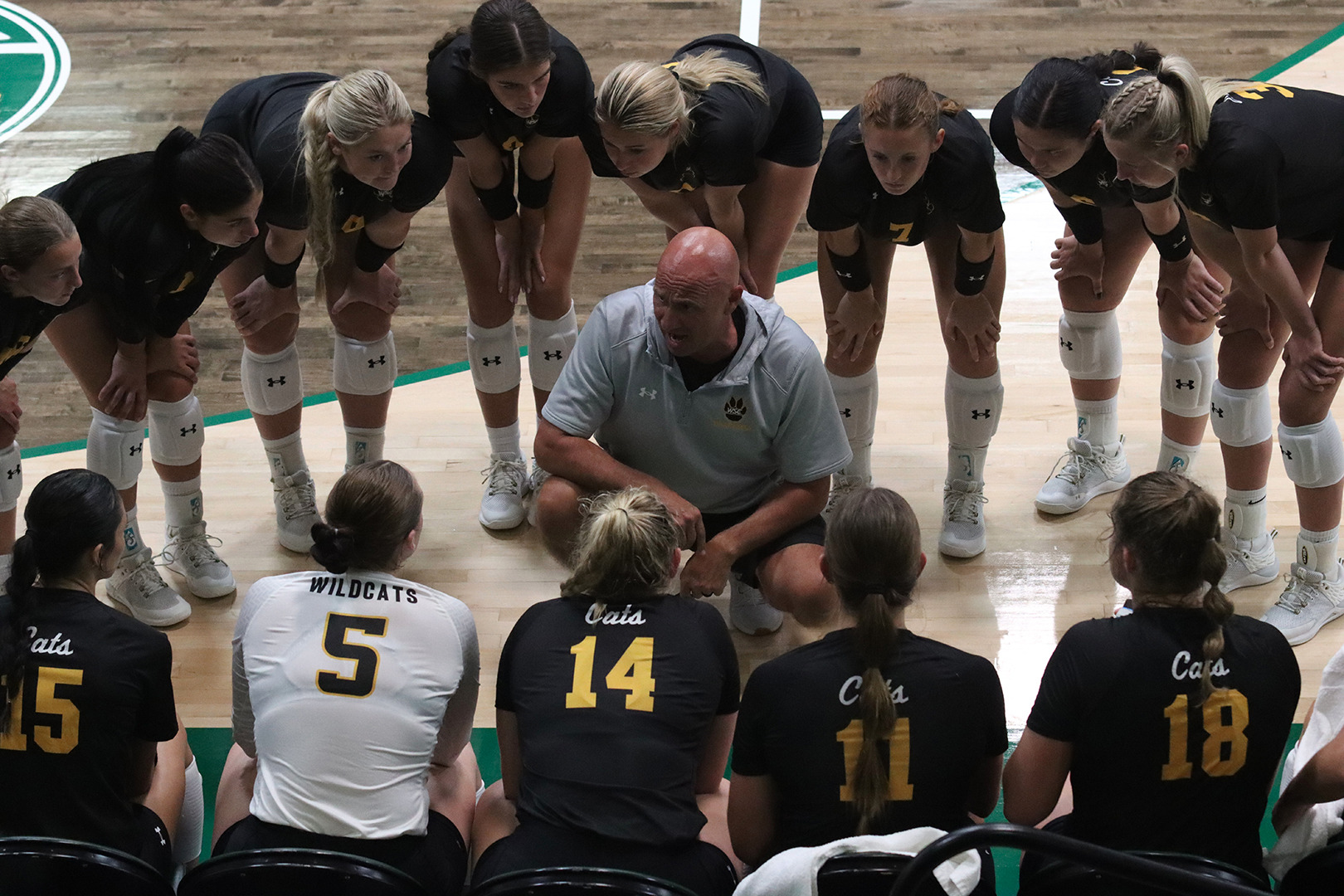 Efficient Wildcats take care of Cal State Dominguez Hills - Wayne State ...