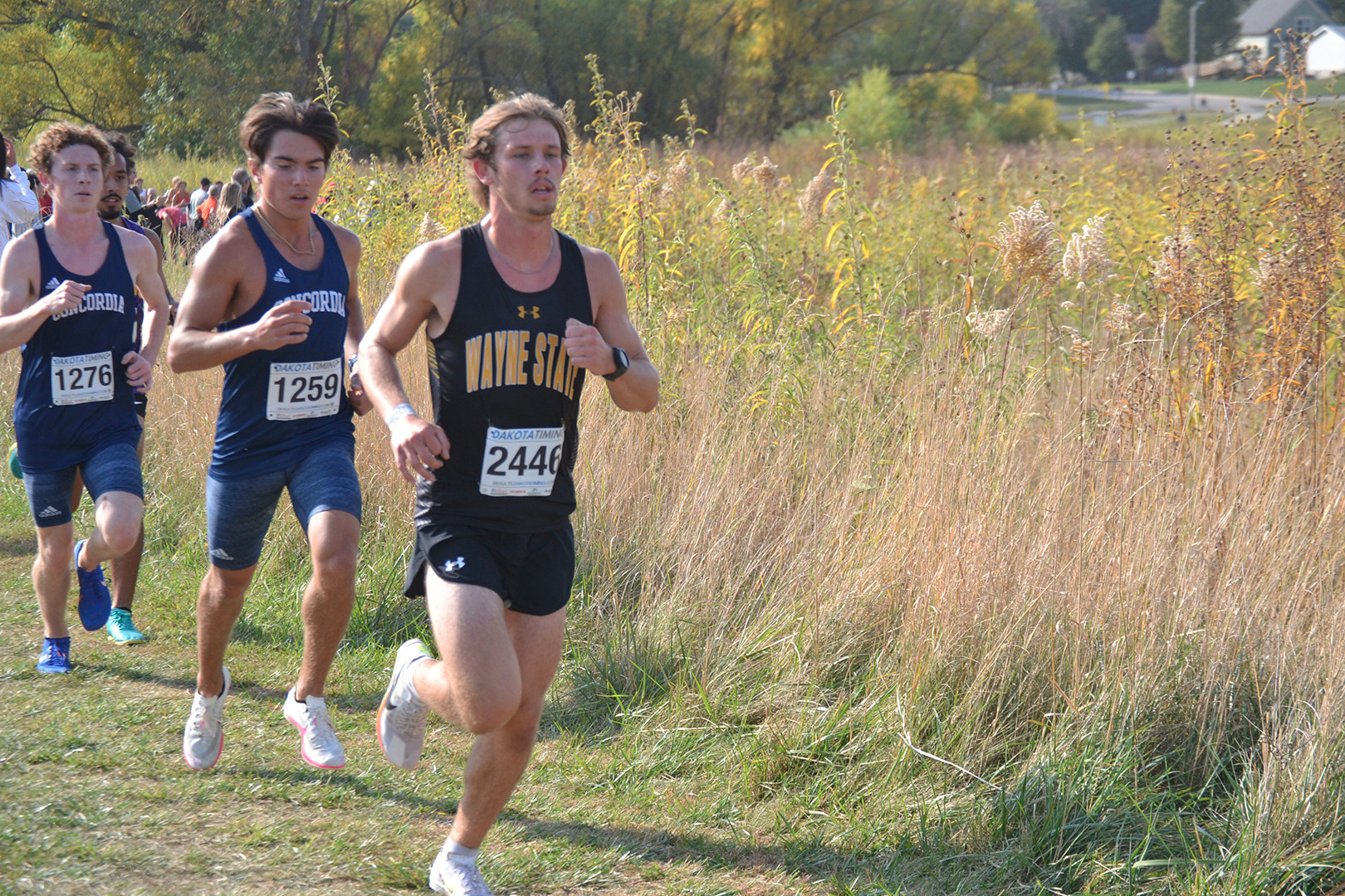 Dreyer is top finisher for Wildcat men at NCAA Central Region ...