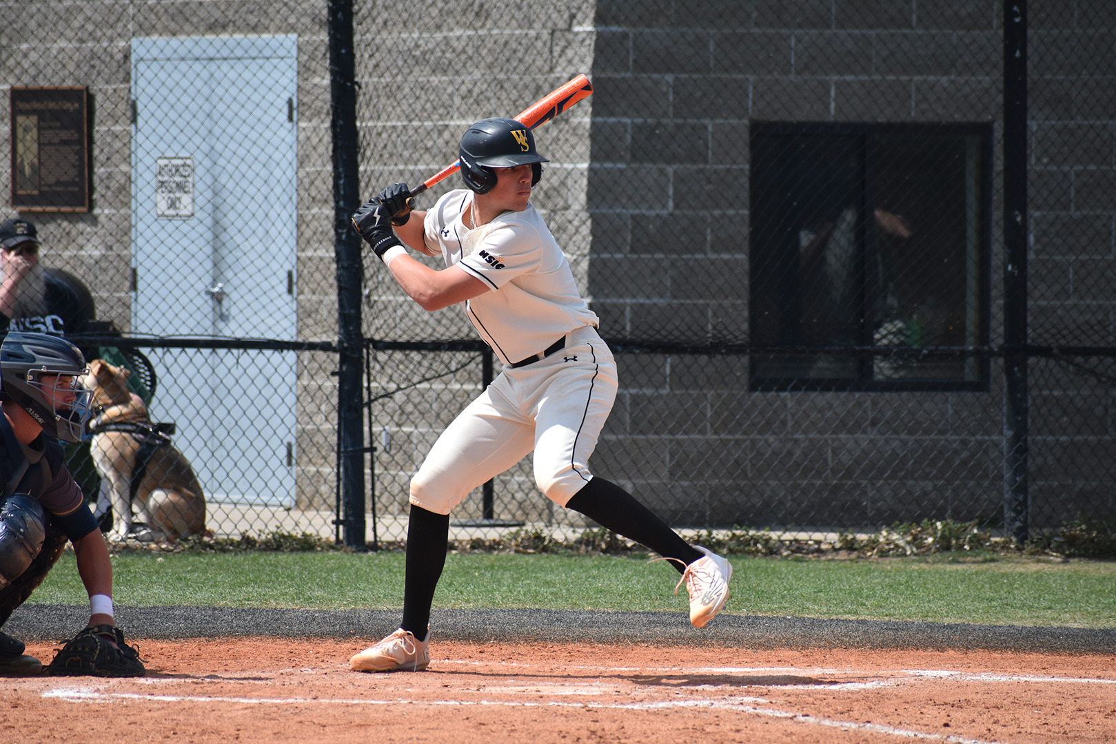 Trey Wells - 2024 - Baseball - Wayne State College Athletics