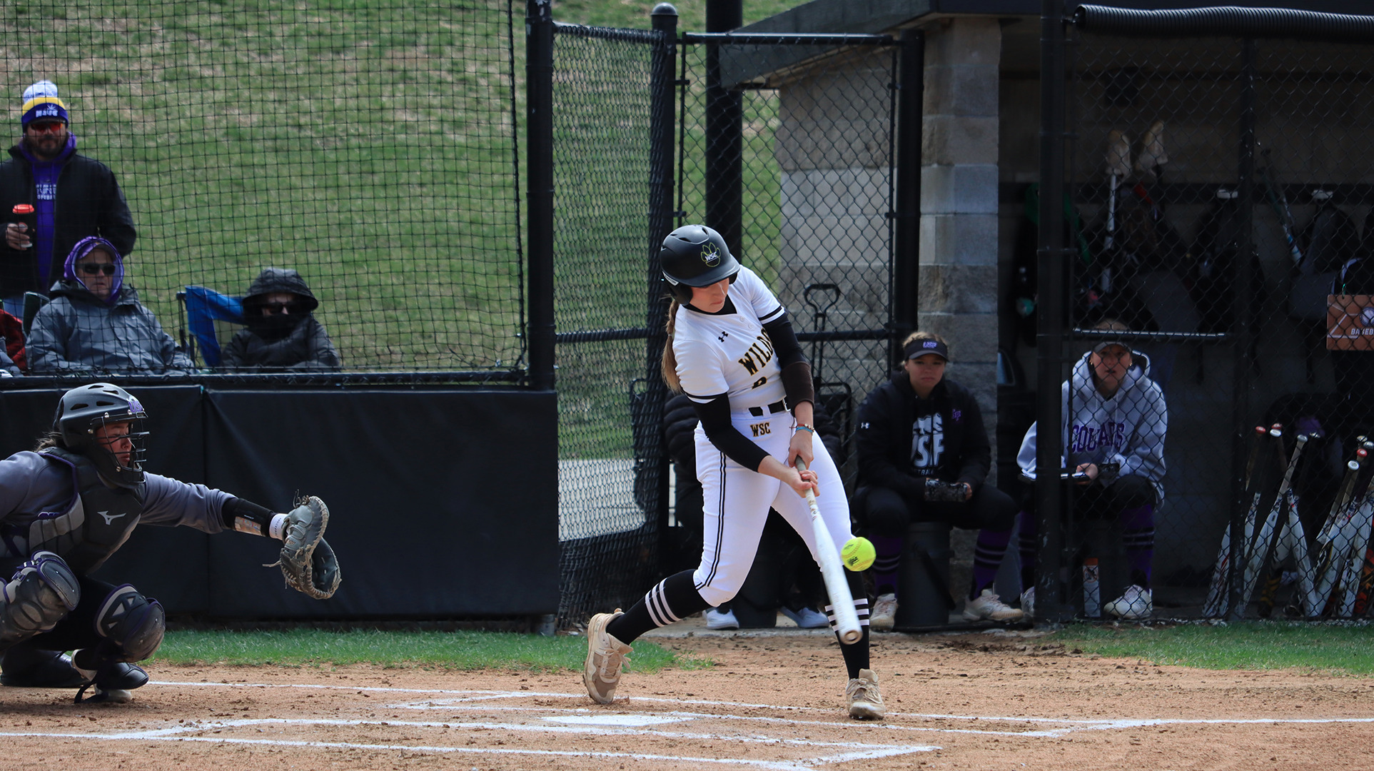 Wayne State softball announces three recruits - Wayne State College ...