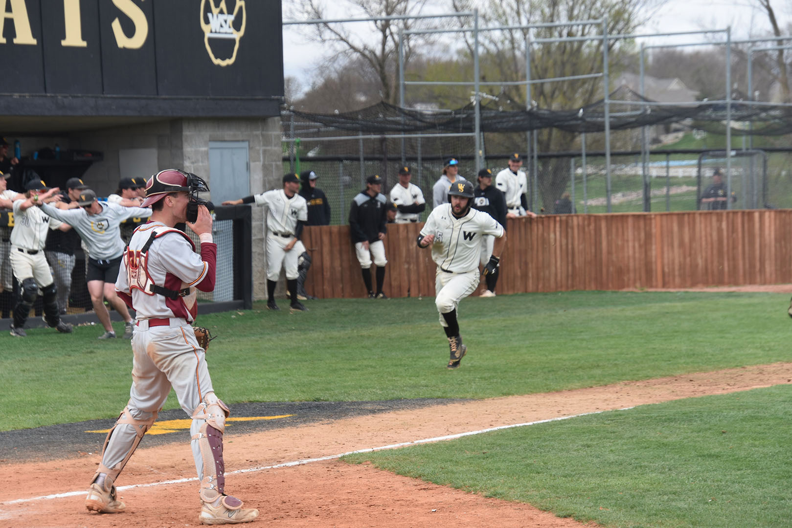 Dylan Jutze - 2024 - Baseball - Wayne State College Athletics