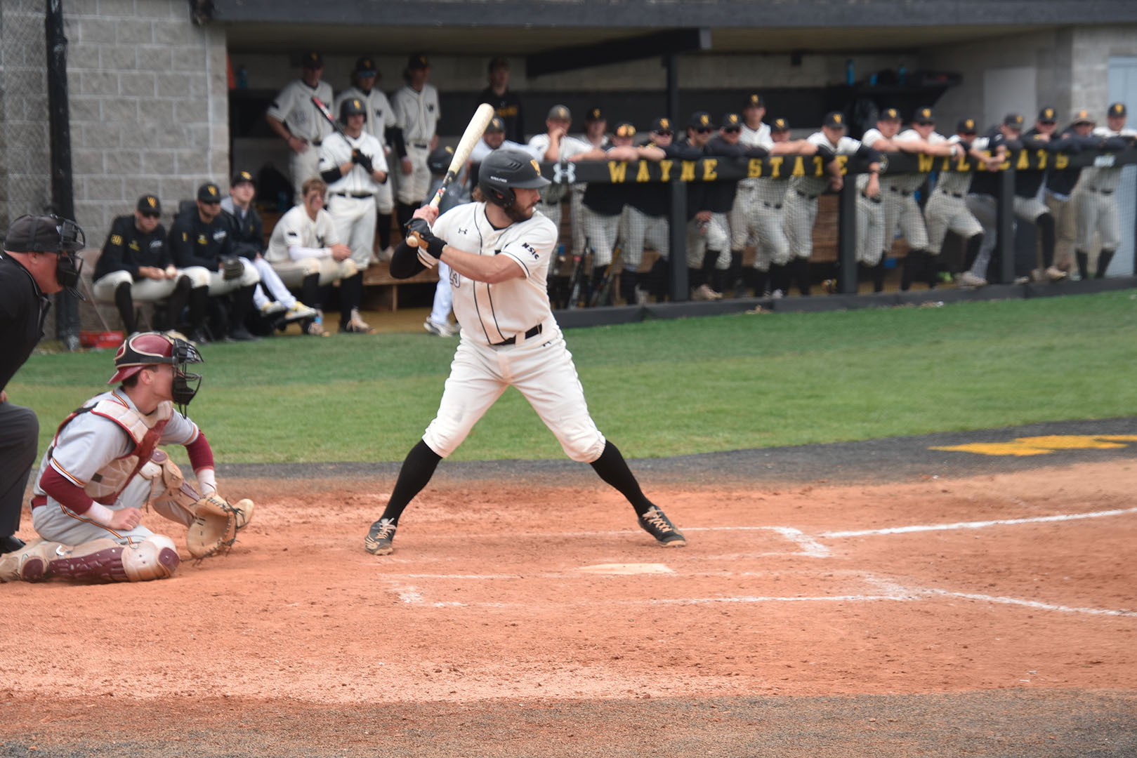 Dylan Jutze - 2024 - Baseball - Wayne State College Athletics