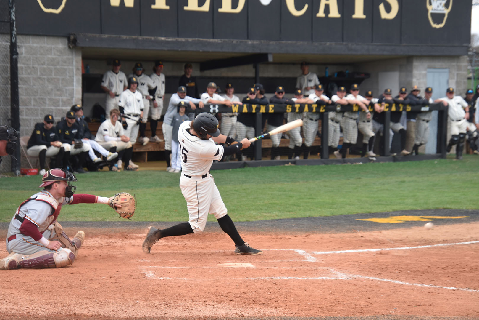 Dylan Jutze - 2024 - Baseball - Wayne State College Athletics