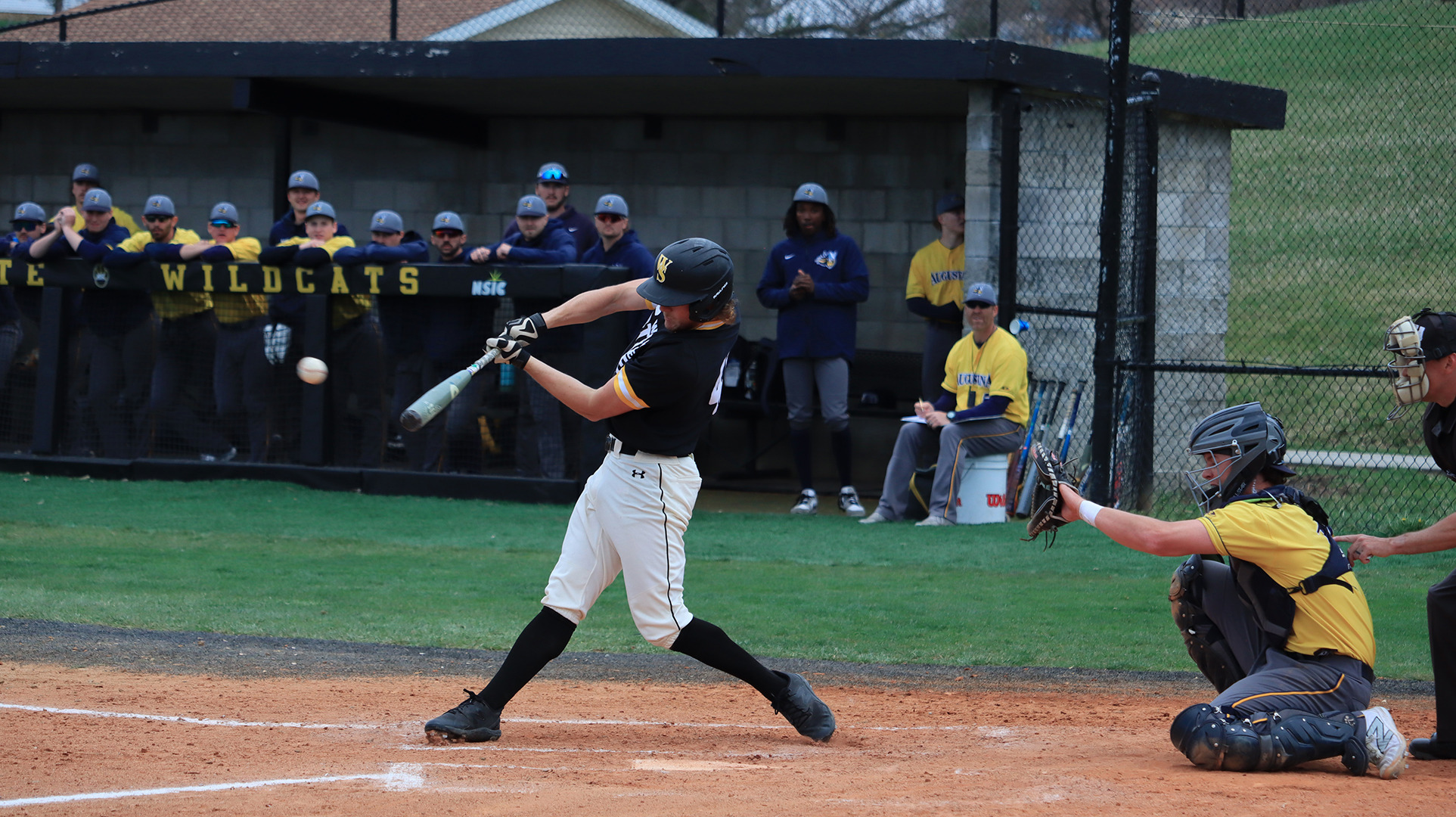 Carter Thomas - 2024 - Baseball - Wayne State College Athletics