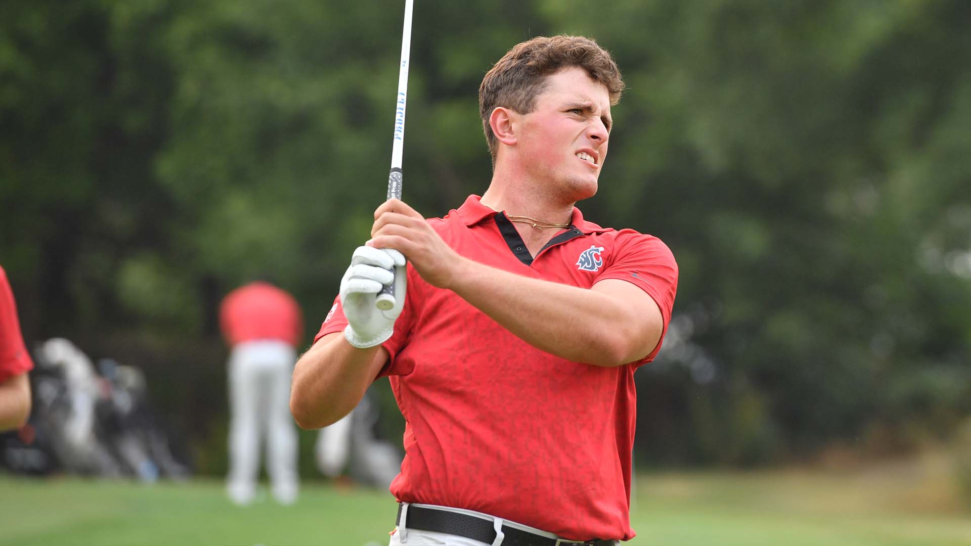 Max Sekulic - Men's Golf - Washington State University Athletics