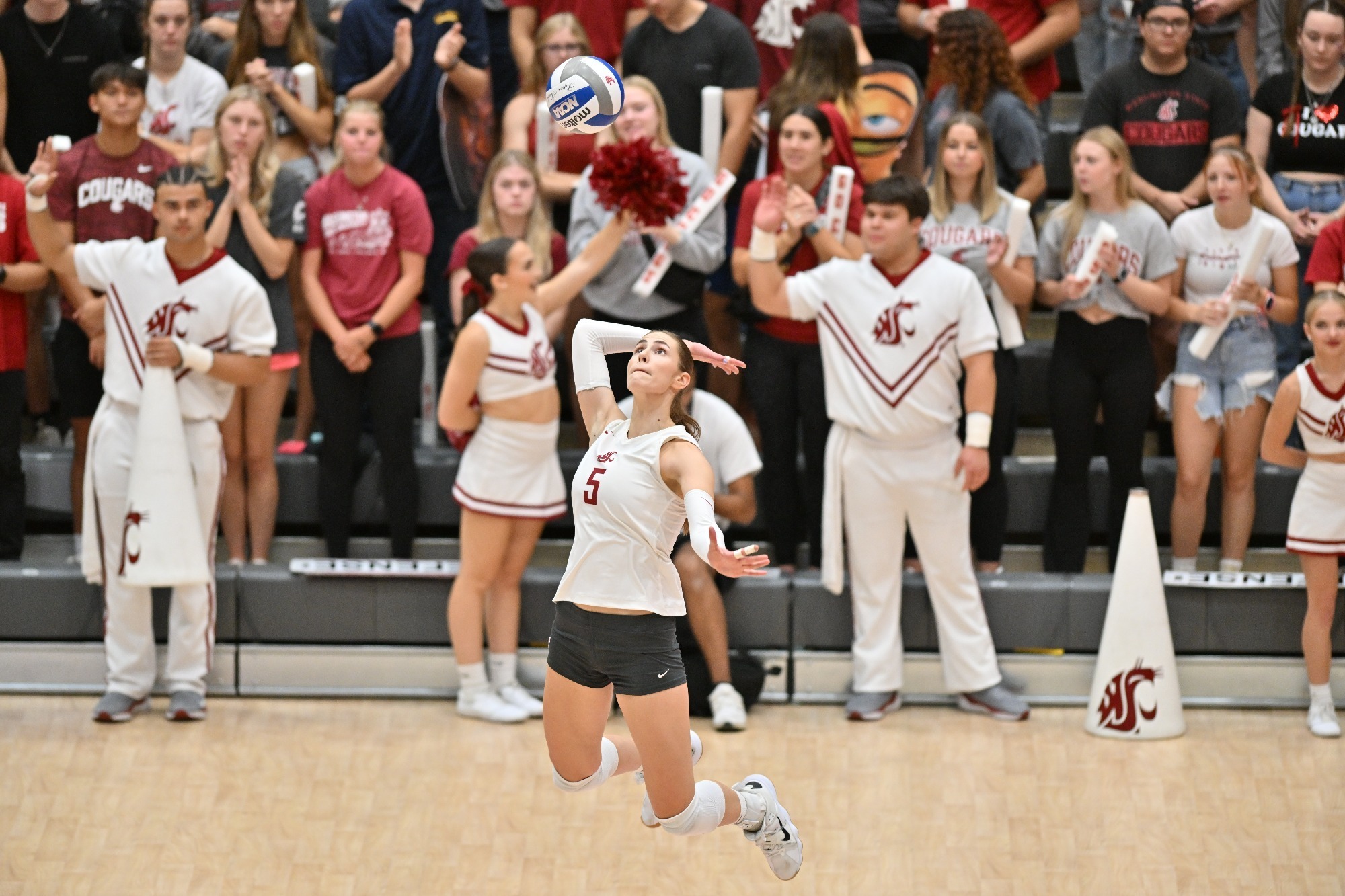 Iman Isanovic - Volleyball - Washington State University Athletics