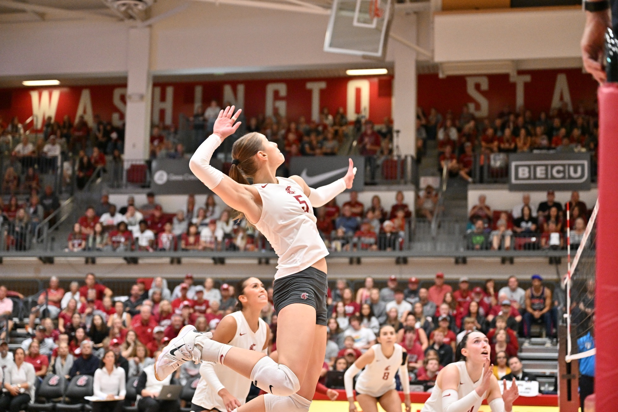 Iman Isanovic - Volleyball - Washington State University Athletics