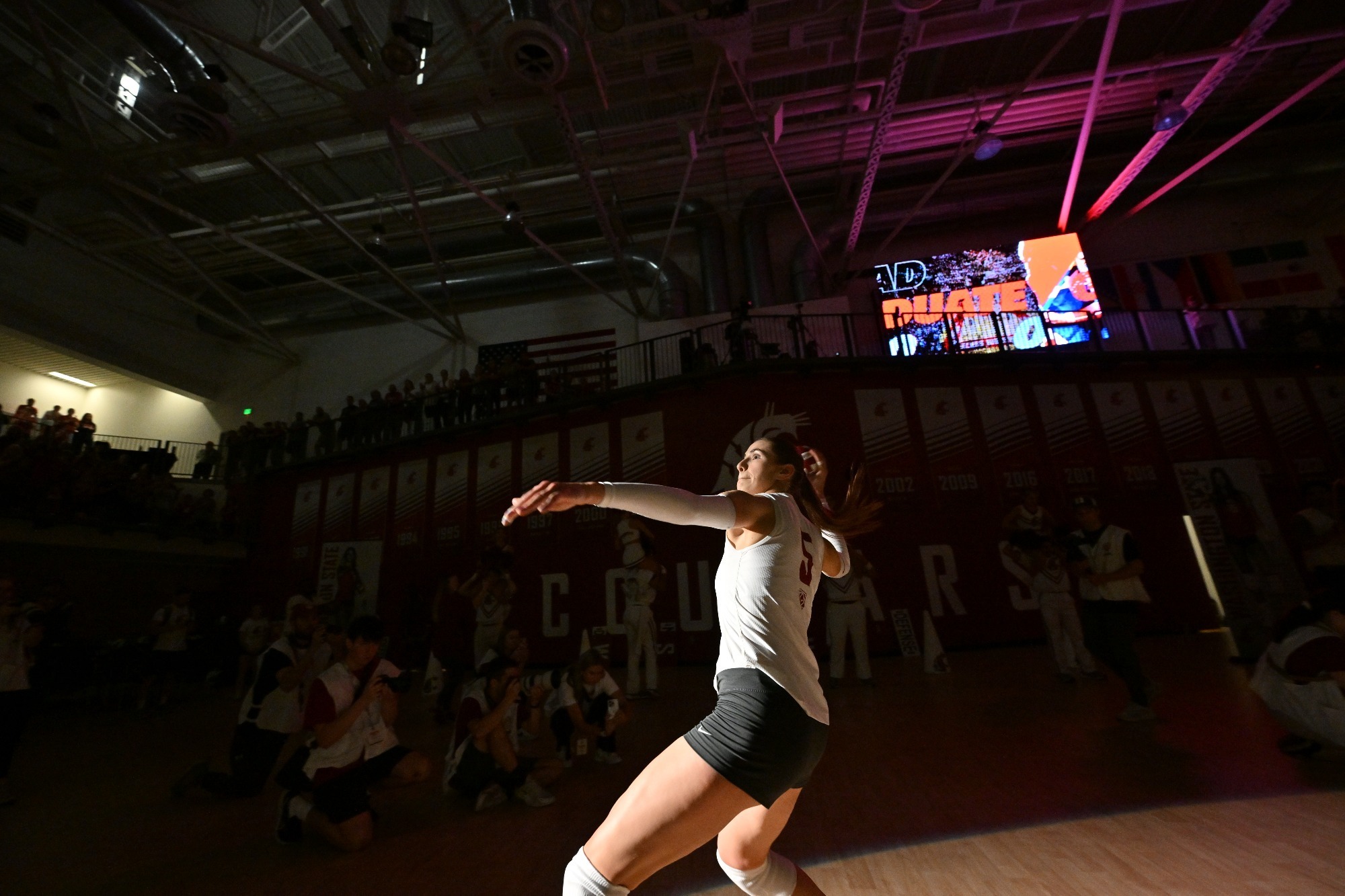 Iman Isanovic - Volleyball - Washington State University Athletics