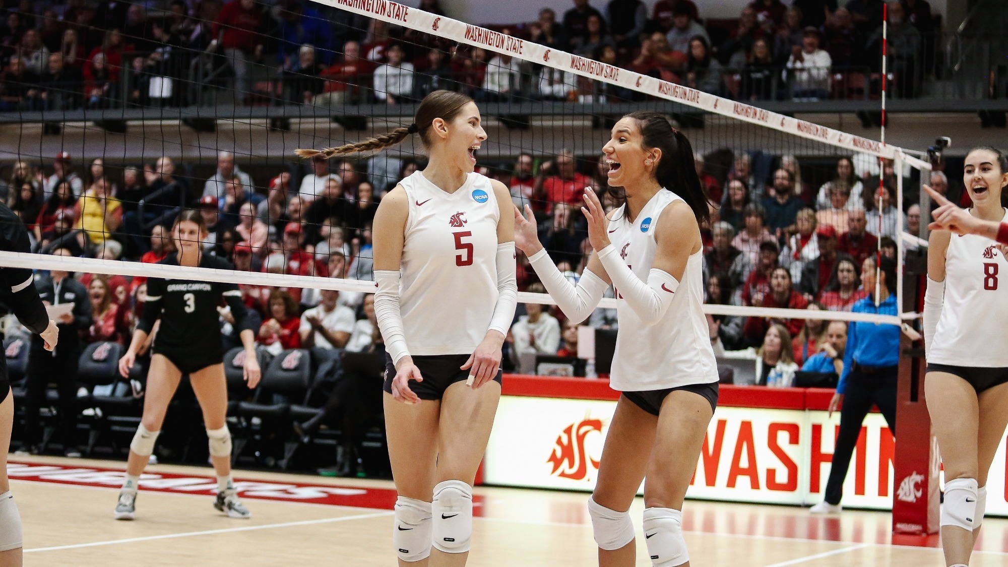 Iman Isanovic - Volleyball - Washington State University Athletics