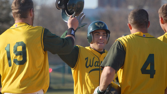 Michael Wiseman - Baseball - Wayne State University Athletics