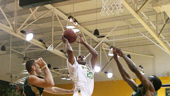 Stacey Waters - Men's Basketball - Wayne State University Athletics