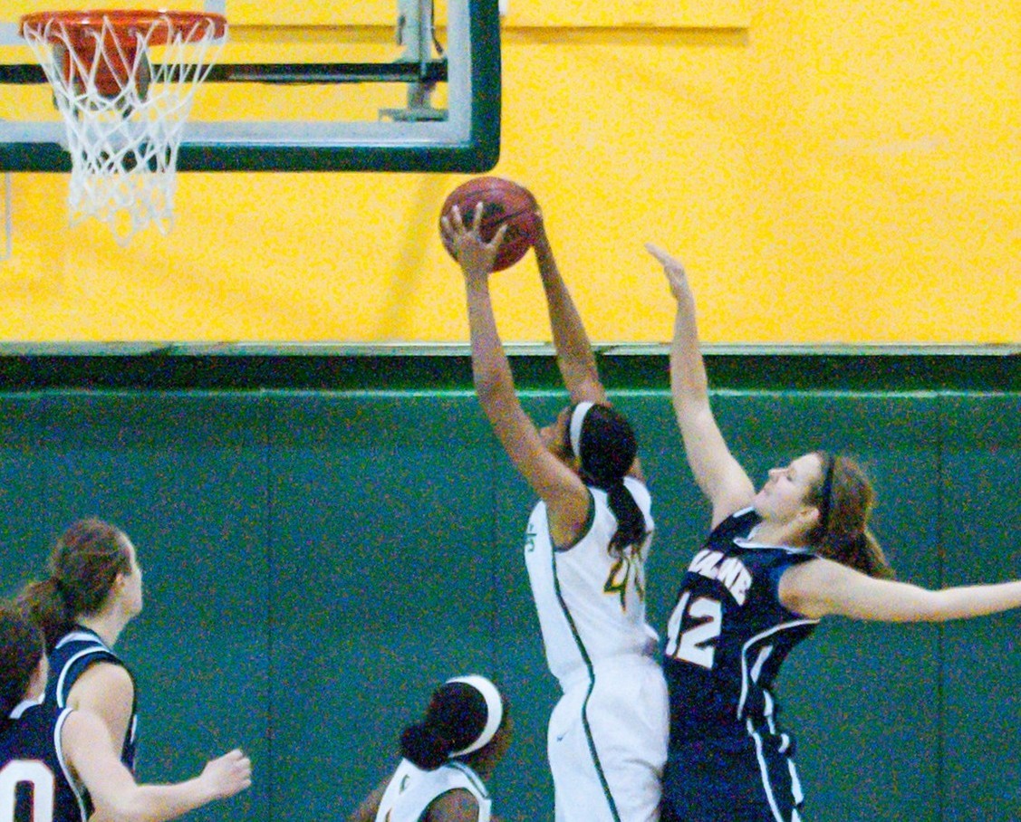 Ashley Wilson - Women's Basketball - Wayne State University Athletics