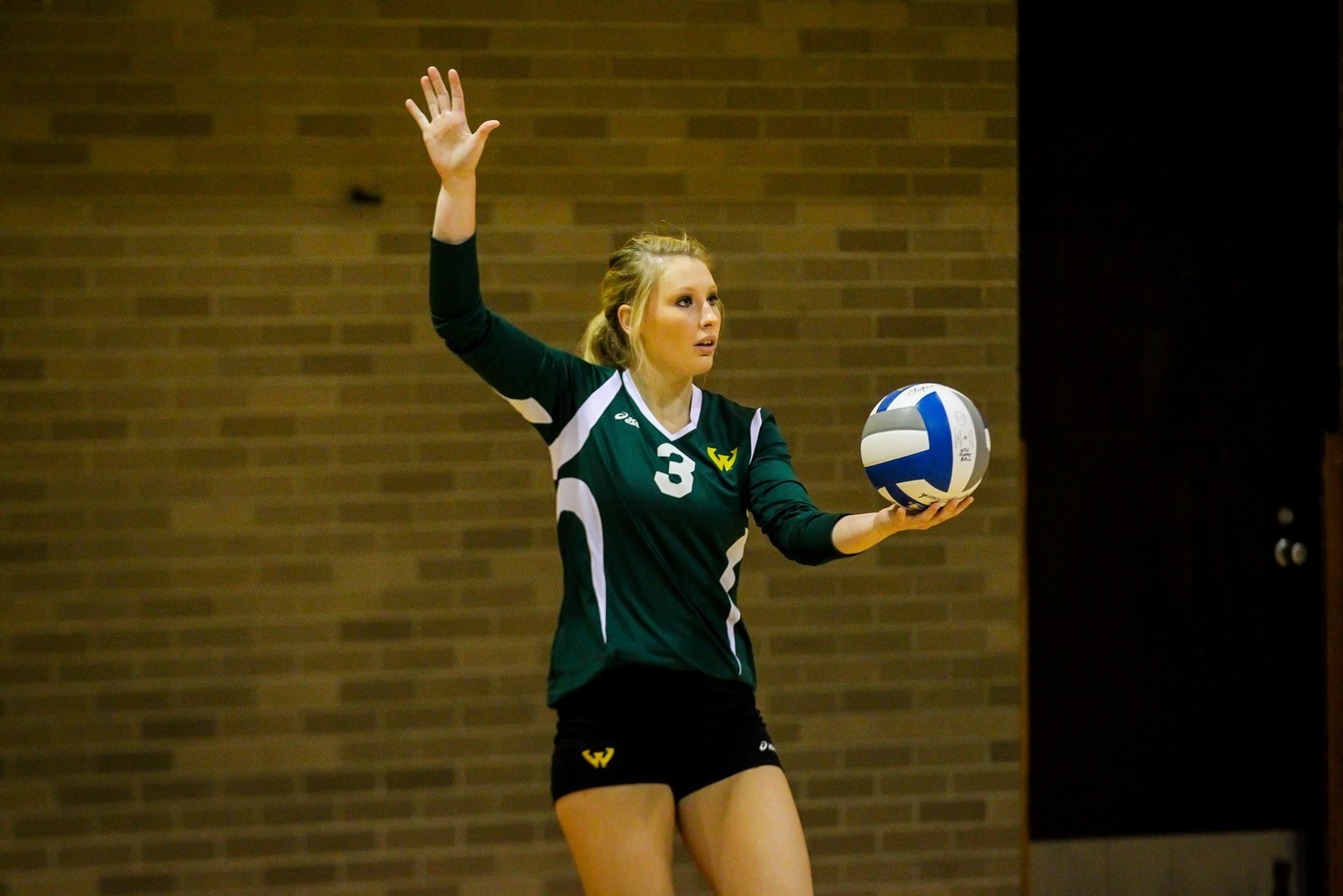 Madison Reeves - Volleyball - Wayne State University Athletics