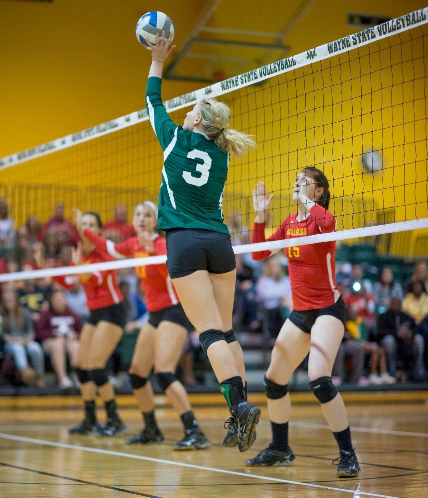 Madison Reeves - Volleyball - Wayne State University Athletics