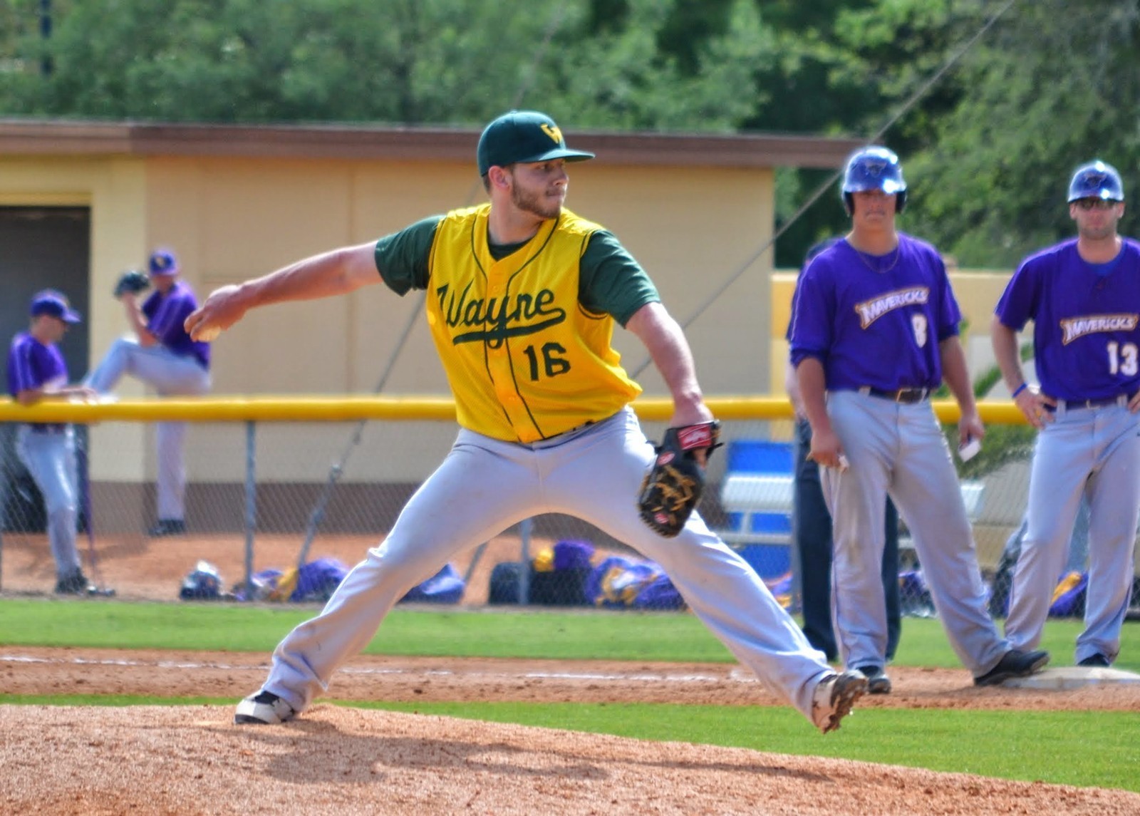 Mike Murley - Baseball - Wayne State University Athletics
