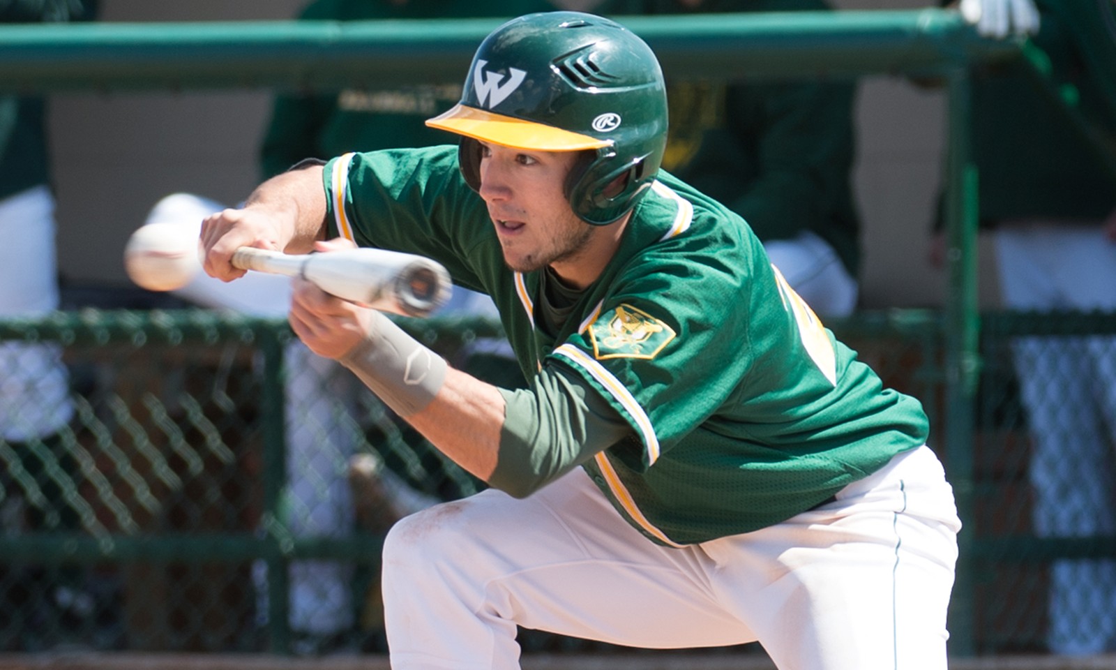 Nathan Manis - Baseball - Wayne State University Athletics