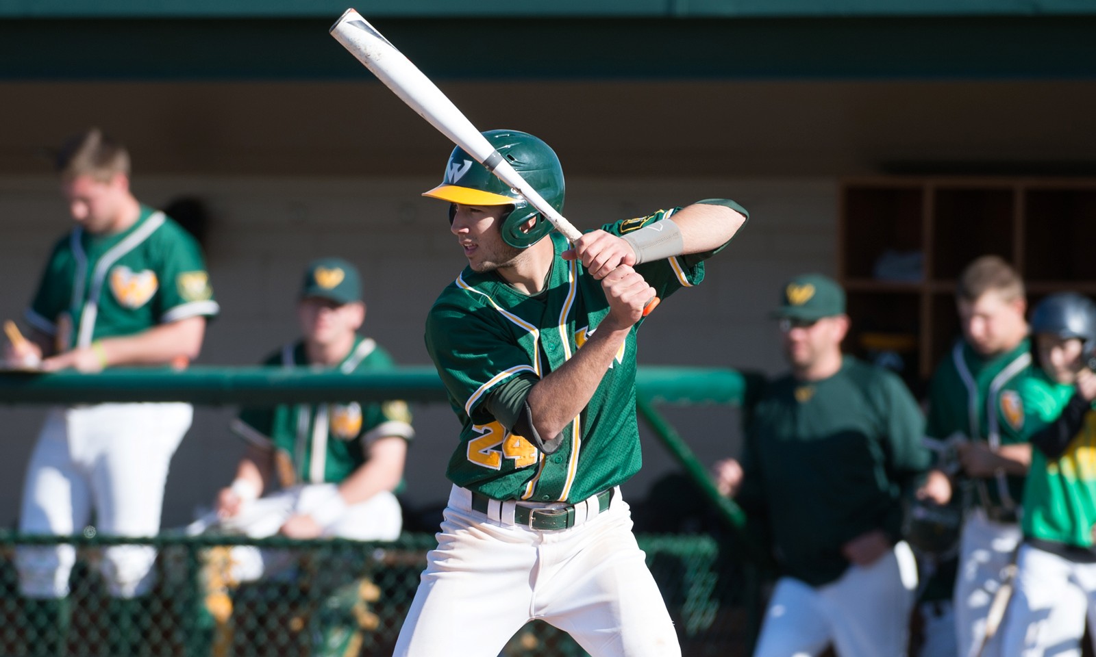 Nathan Manis - Baseball - Wayne State University Athletics