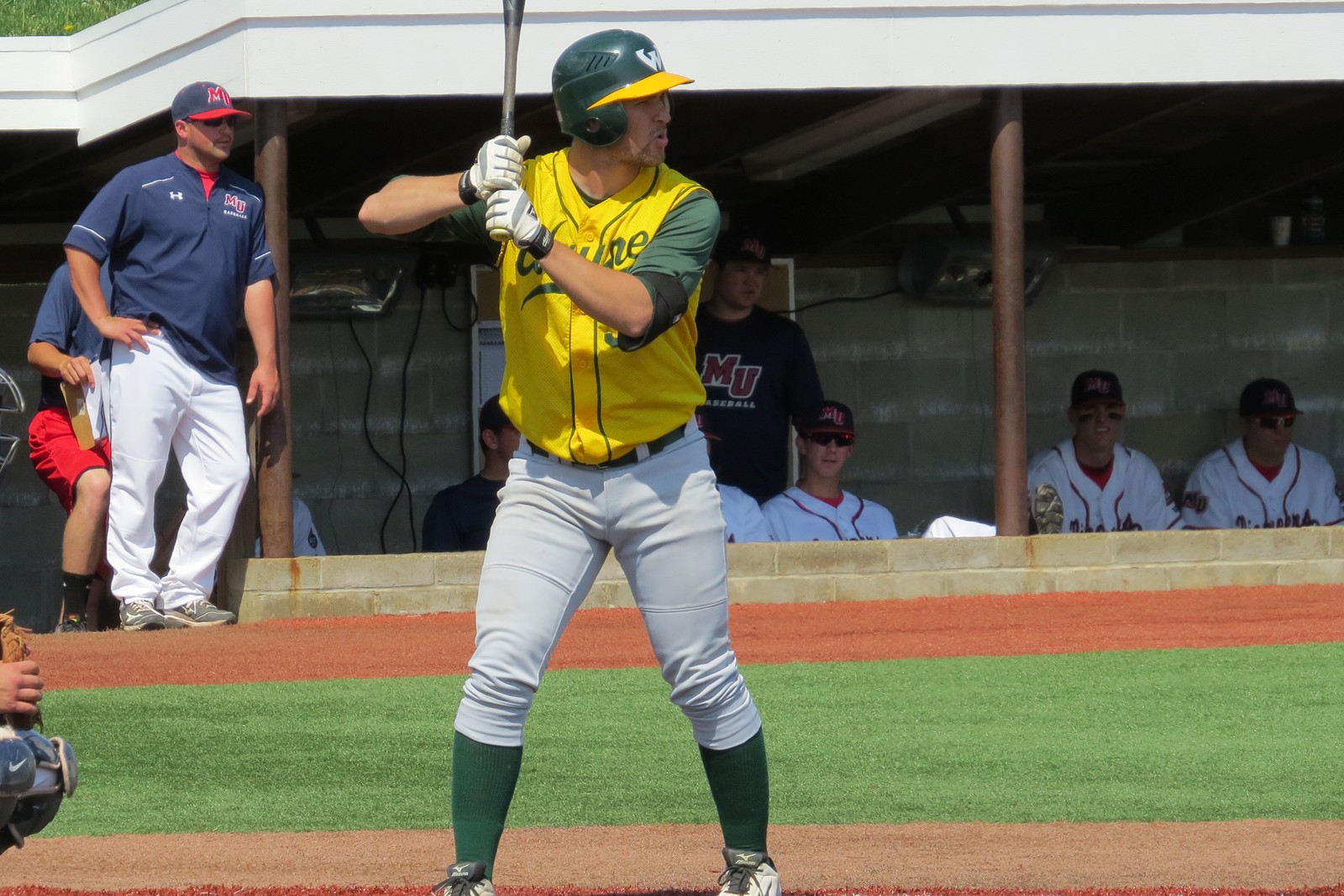 Kyle Zimmerman - Baseball - Wayne State University Athletics