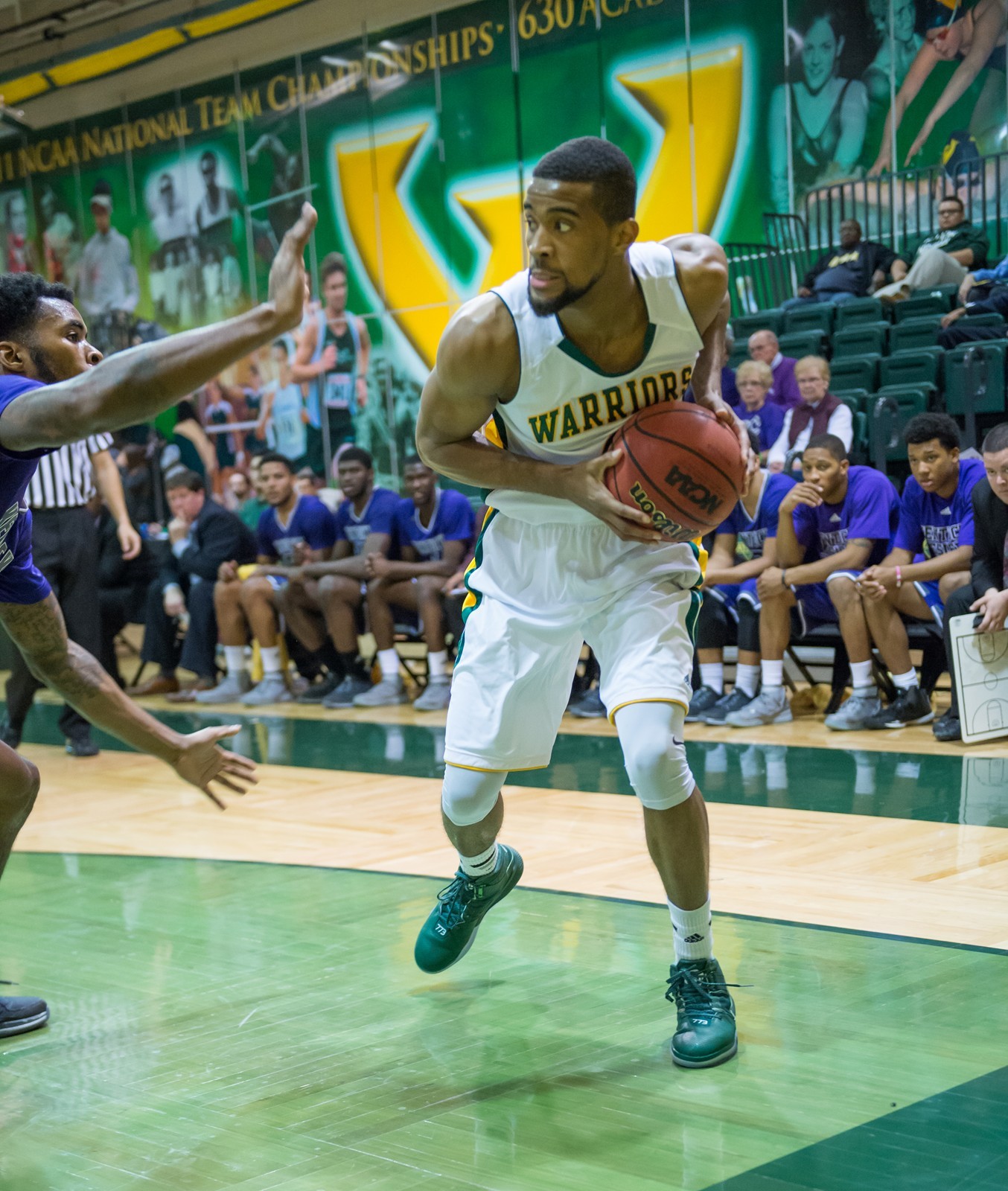 Darius Stevens - Men's Basketball - Wayne State University Athletics
