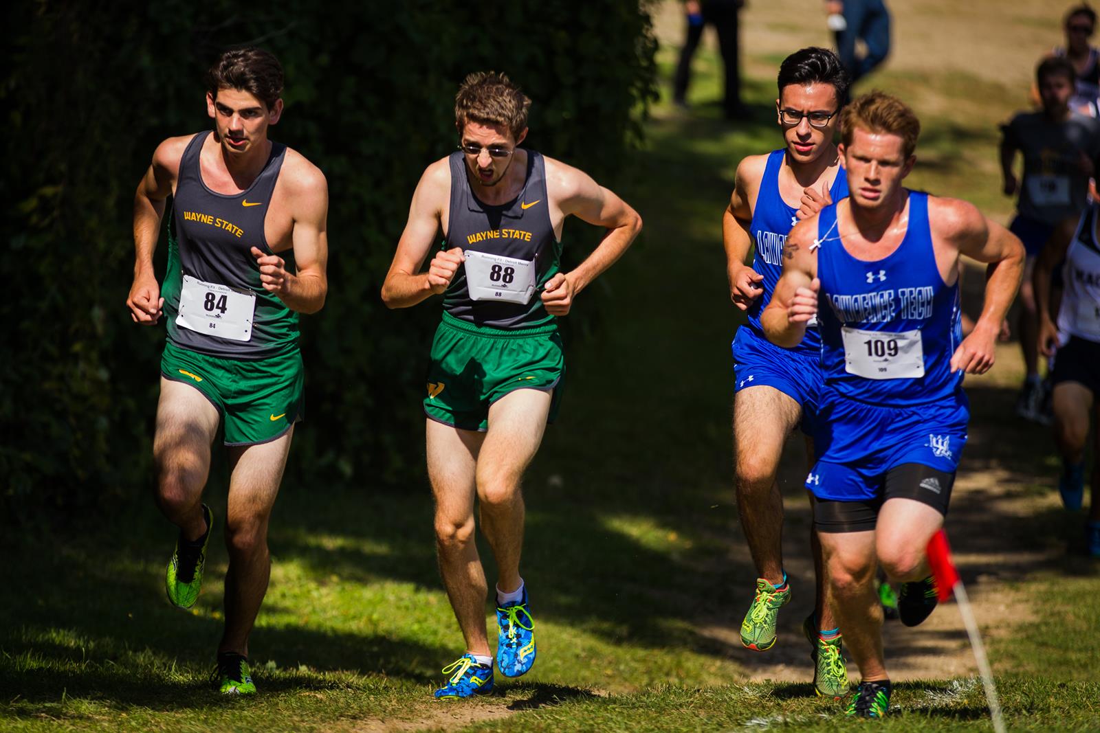 Jay Benoit - Men's Cross Country - Wayne State University Athletics