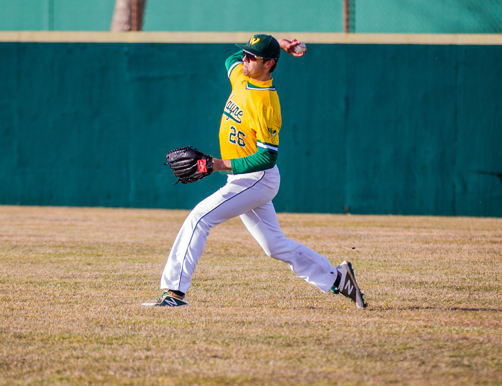 Jack Schmidt - Baseball - Wayne State University Athletics