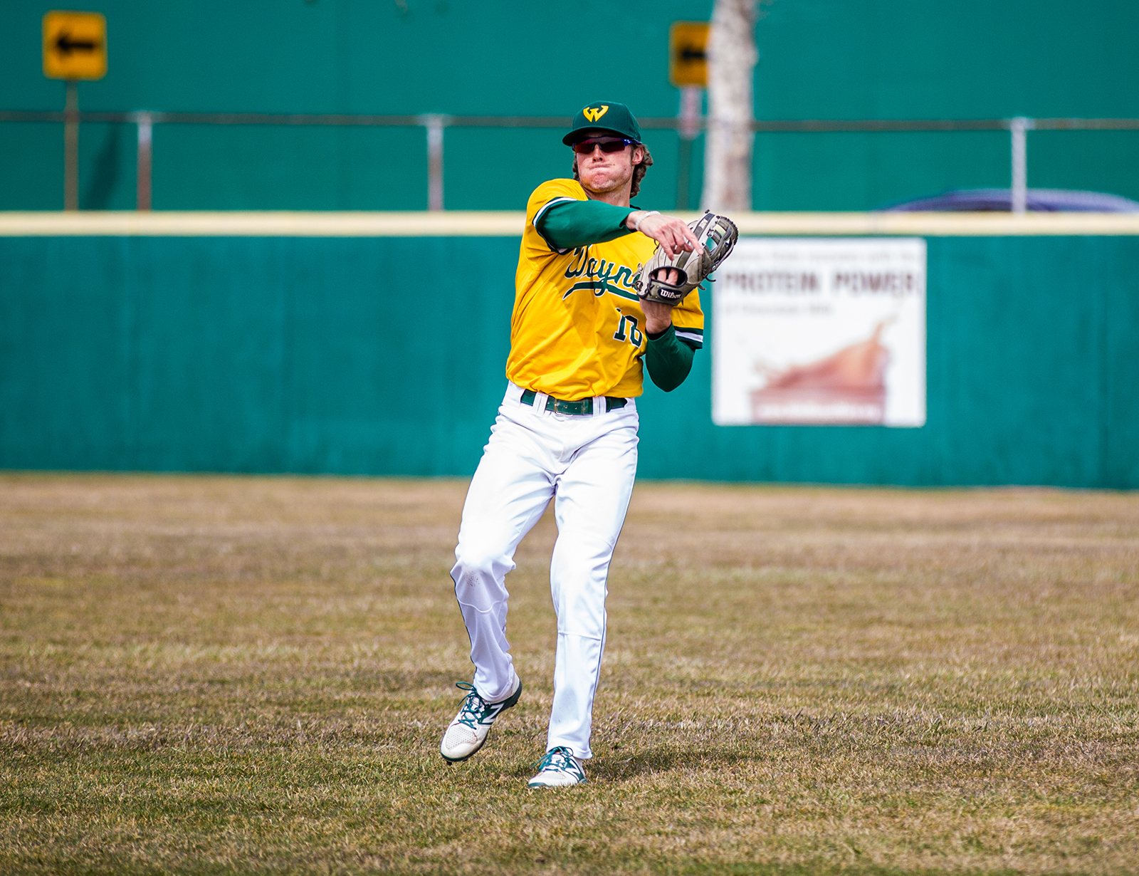 Patrick Adams - Baseball - Wayne State University Athletics