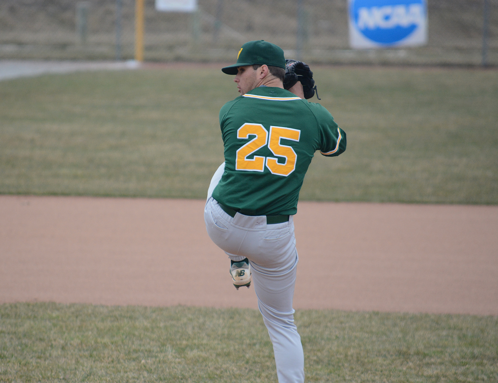 Richard Hovde - Baseball - Wayne State University Athletics