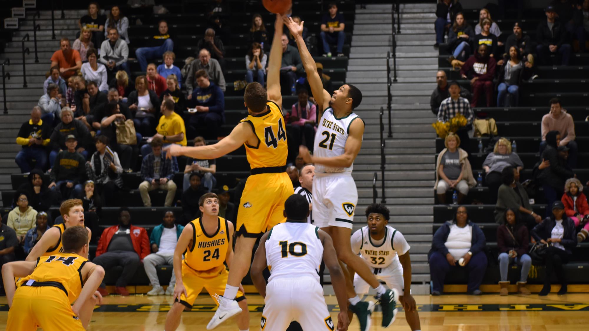 Tristan Wilson - Men's Basketball - Wayne State University Athletics
