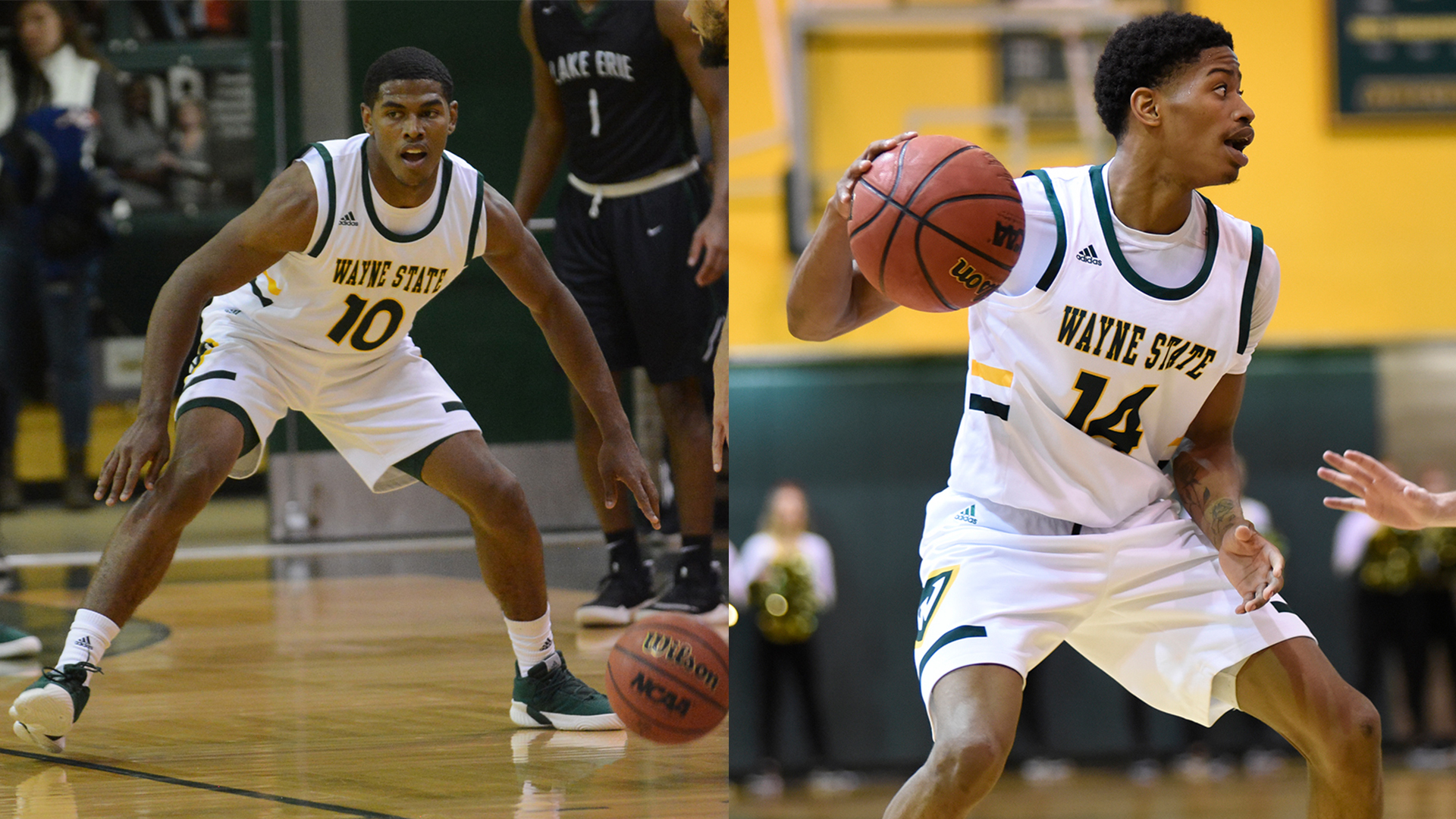 GLIAC Announces Preseason Men's Basketball Coaches Poll - Wayne State ...