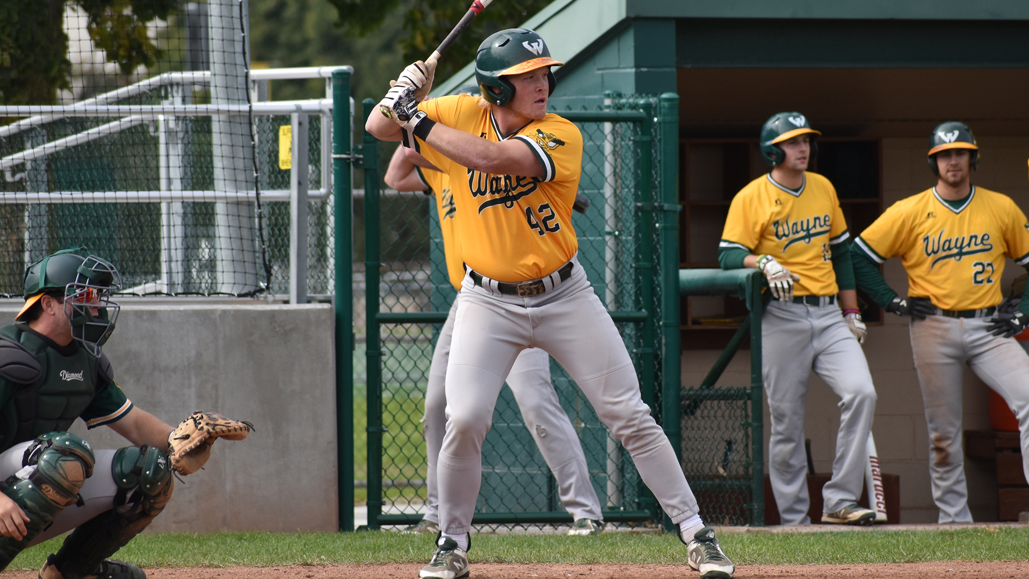 Michael MacLean - Baseball - Wayne State University Athletics