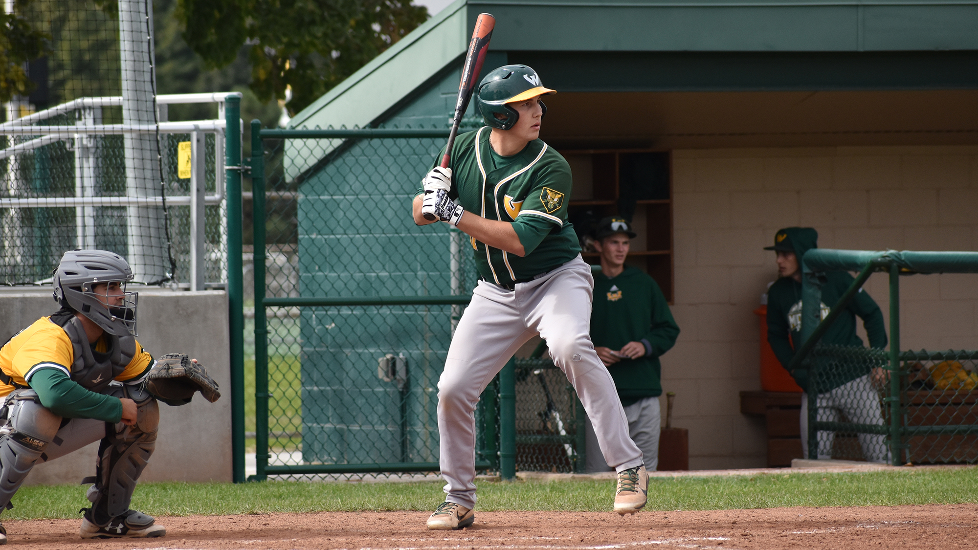 Michael Toth - Baseball - Wayne State University Athletics