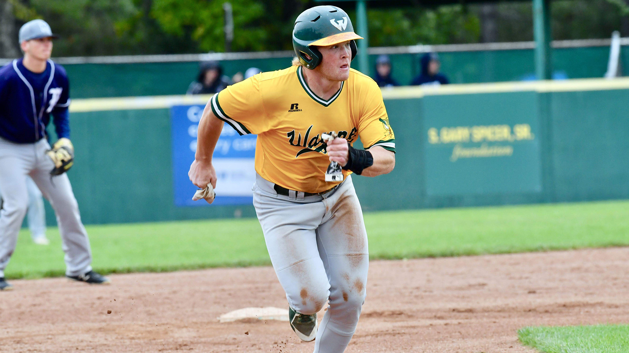 Michael MacLean - Baseball - Wayne State University Athletics