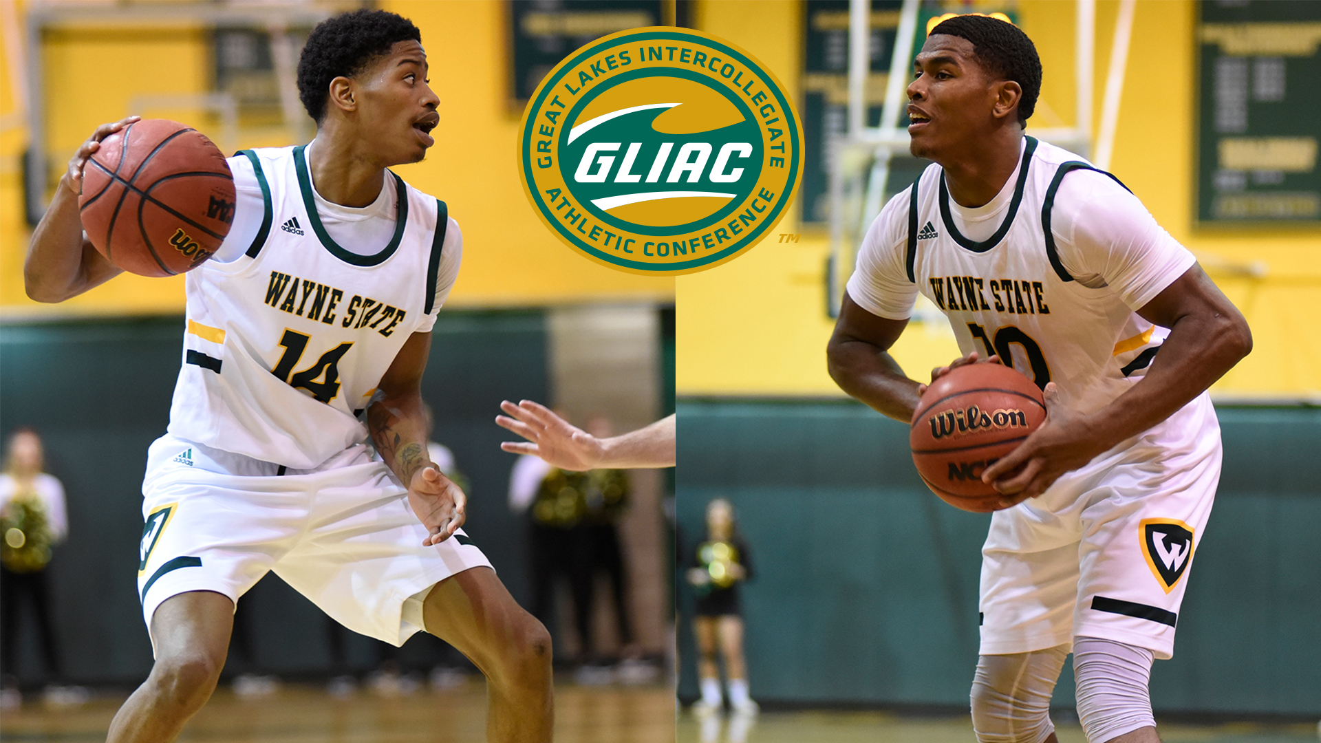 Owens-White and Murray Collect All-GLIAC Accolades - Wayne State ...