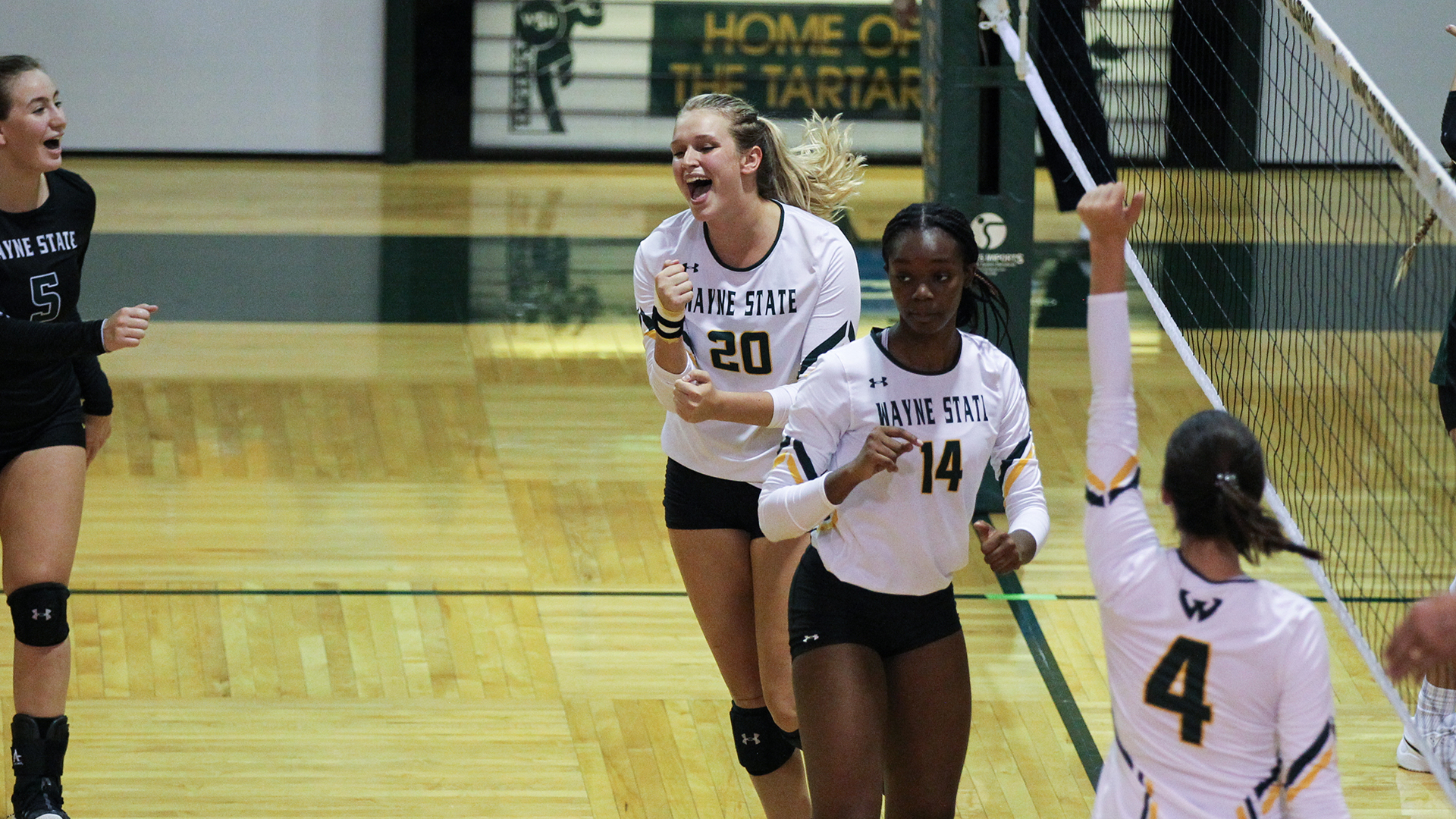 Lauren VanderWal - Volleyball - Wayne State University Athletics