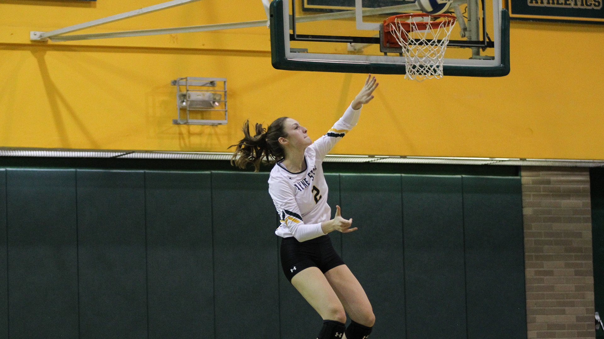 Sam Palazzolo - Volleyball - Wayne State University Athletics