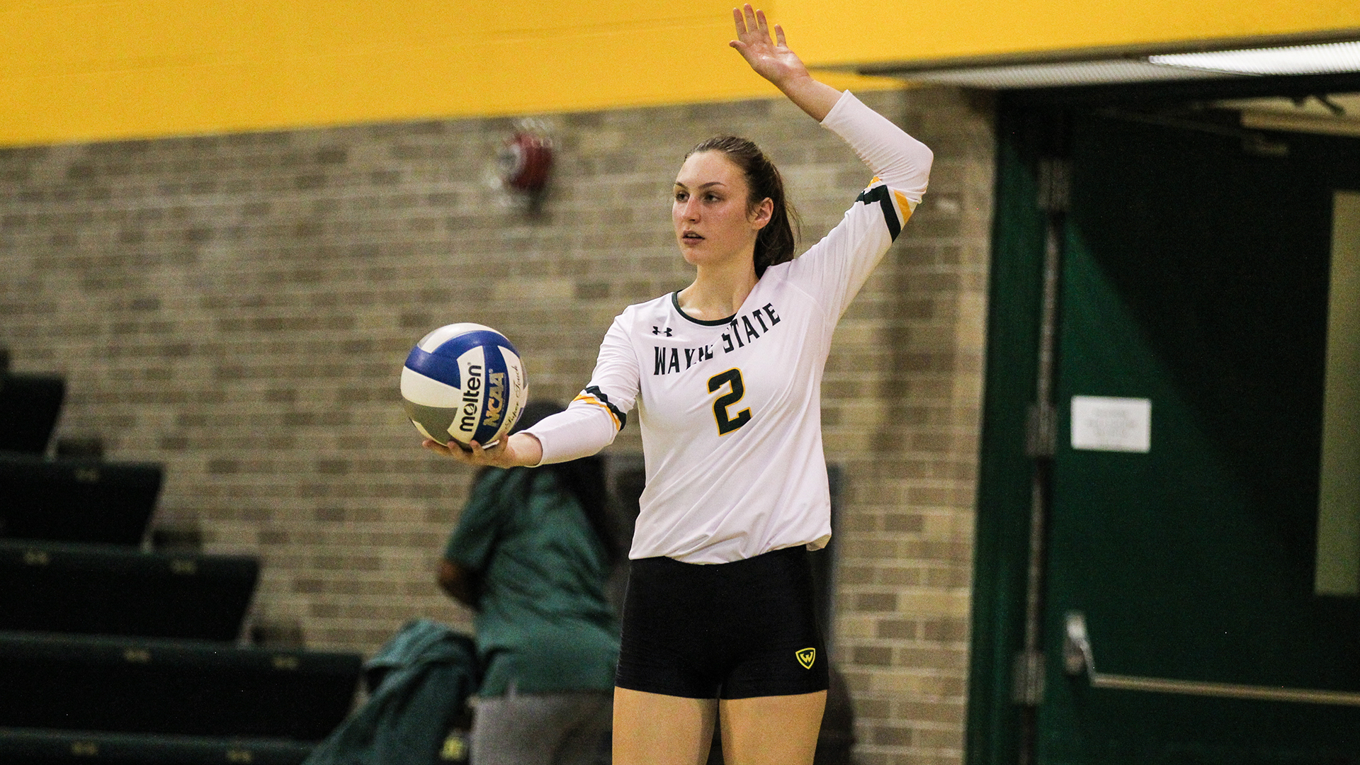 Sam Palazzolo - Volleyball - Wayne State University Athletics