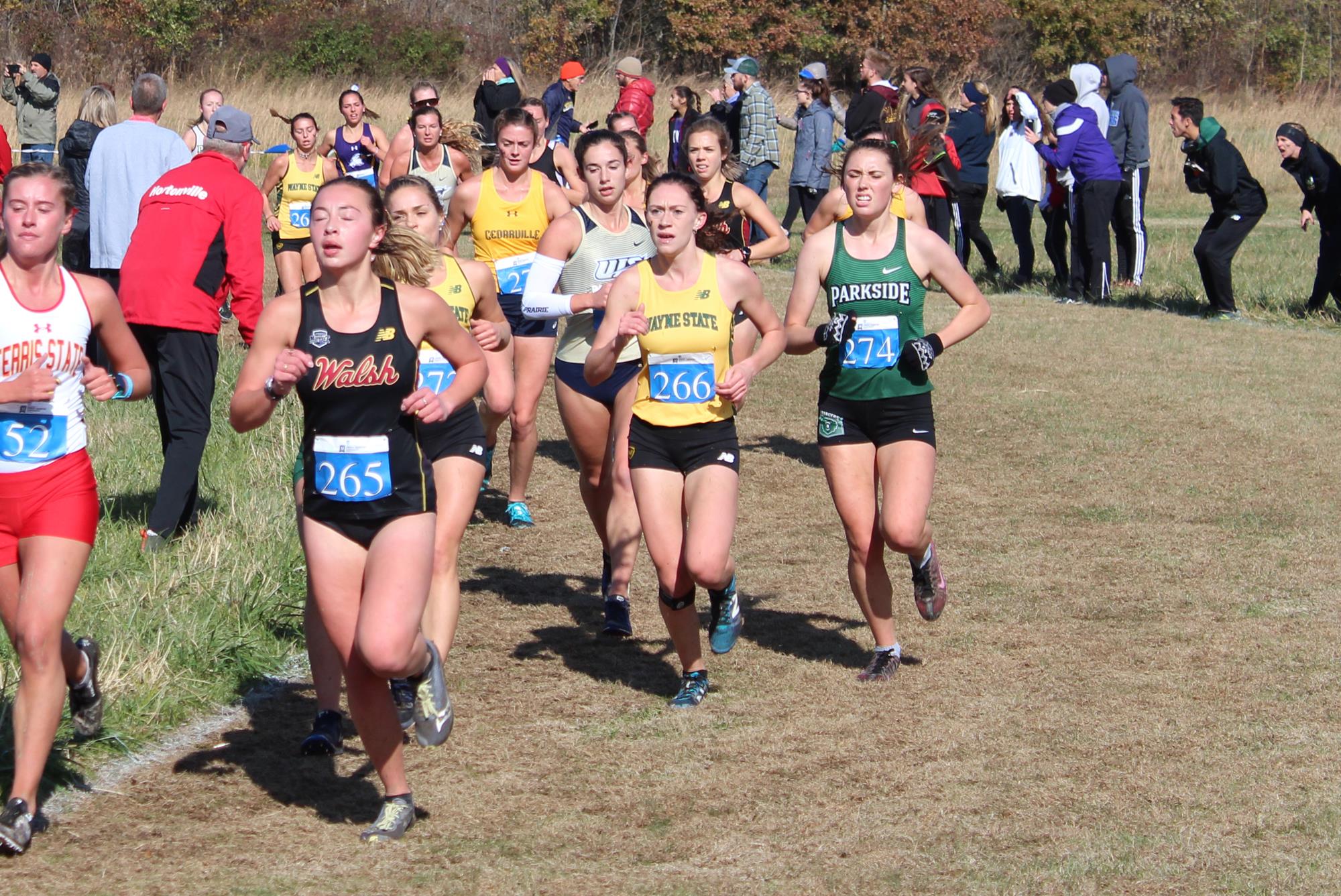Miranda Banks - Women's Cross Country - Wayne State University Athletics