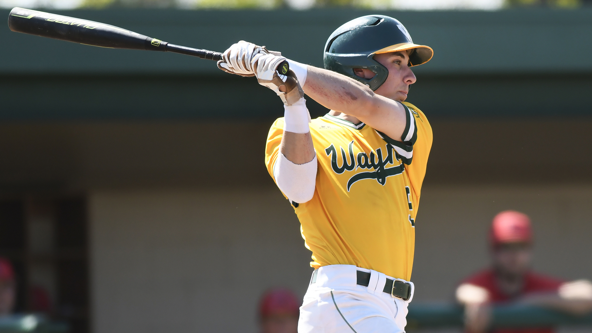 Hunter DeLanoy - Baseball - Wayne State University Athletics